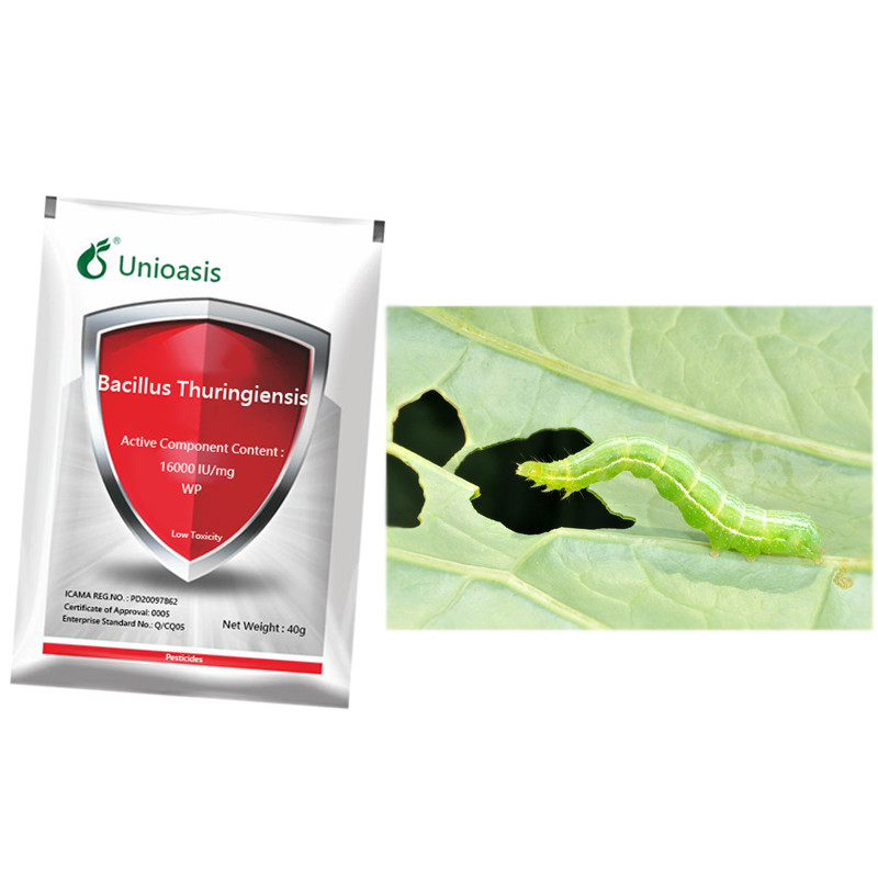 미생물 Bt WP Bacillus Thuringiensis 옥수수 농작물 살충제 농업을 죽이는 옥수수 해충